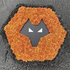 Wolves Football Emblem - Funeral Flowers Rowley Regis