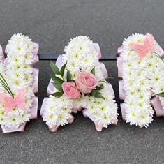 Pink Butterfly Nan frame - Funeral Flowers Rowley Regis